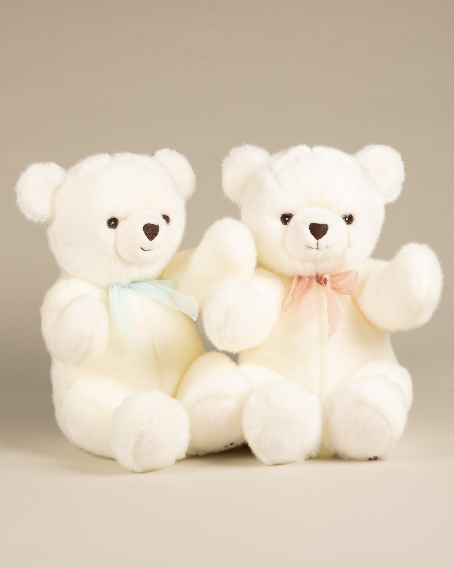 Bears
